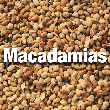 Macadamias - Nuts, Snacks & Fresh Flowers